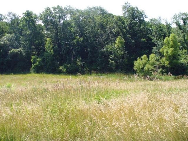Par Ln Lot 3, Sherrard, IL 61265