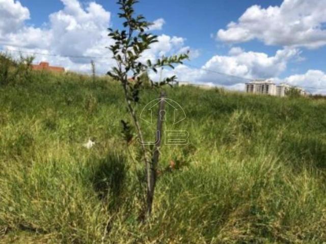 Para você investir: Terreno à venda no bairro Bela Aliança, em Campinas/SP
