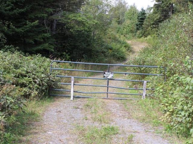Paradis Ave, Frenchville, Plot For Sale