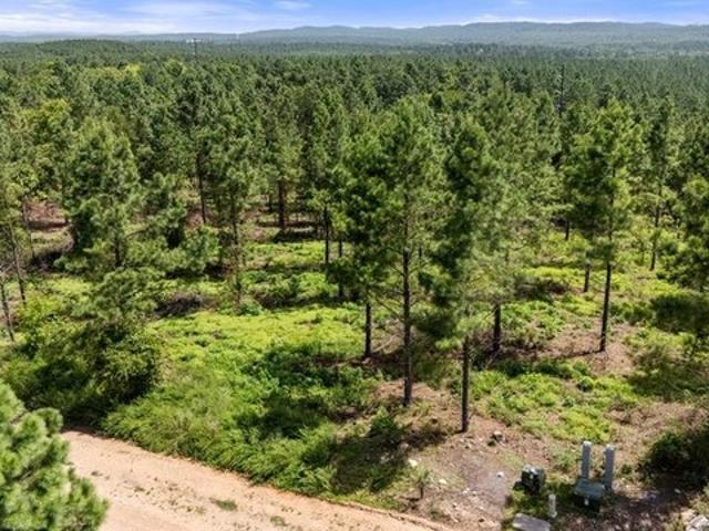 Paradise Valley Rd, Broken Bow, OK 74728