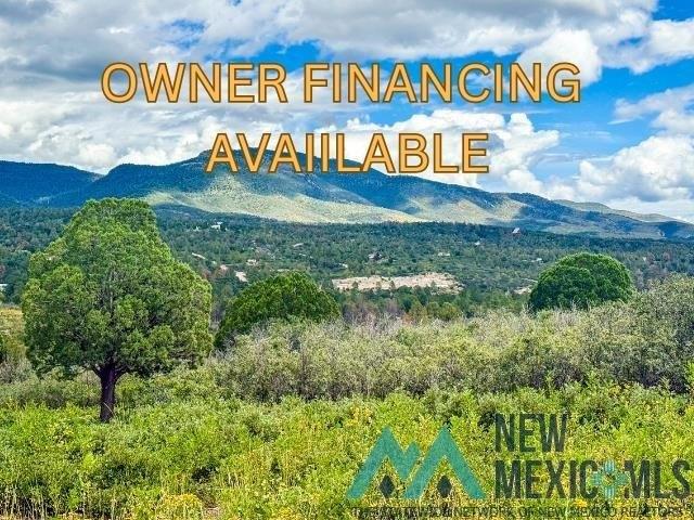 Paradise Valley Rd Lot 3, Timberon, NM 88350
