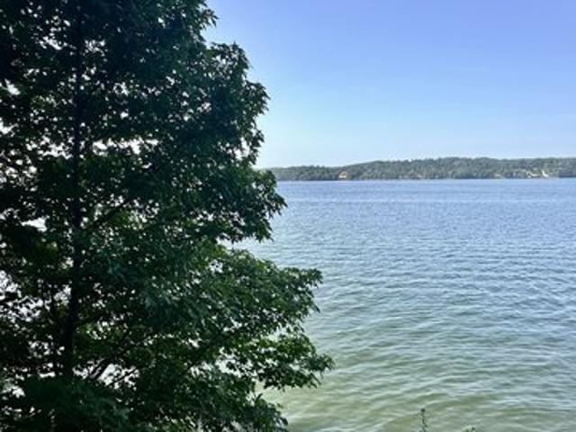 Paradise Dr, Waterloo, AL 35677