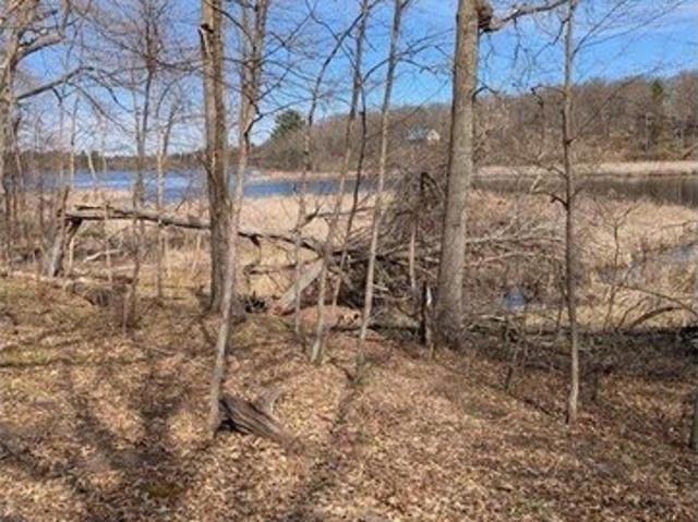 Paradise Dr, Browerville, MN 56438