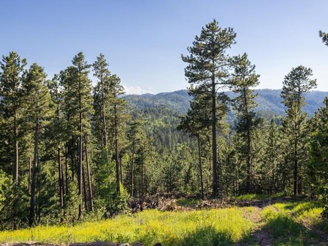 Paradise Gulch Loop Lot 123, Lead, SD 57754