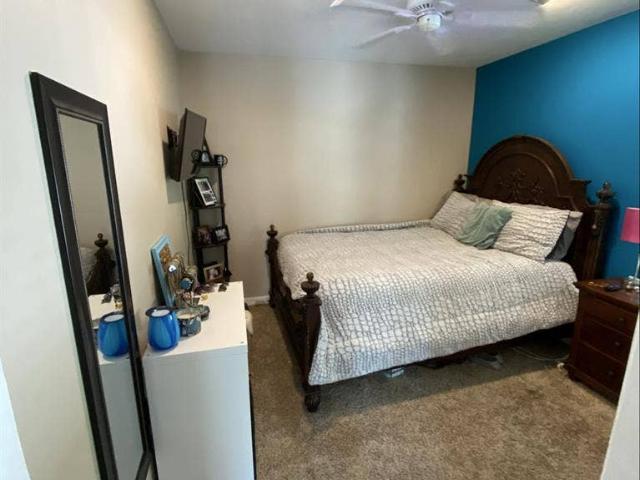 Paradise in Palm Harbor