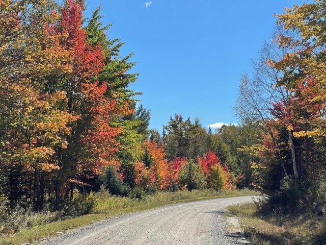 Paradise Ln, Tomhegan Twp, Plot For Sale