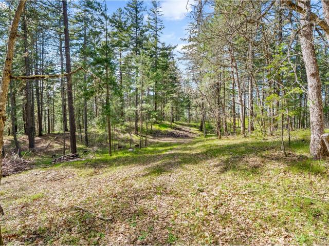 Paradise Ridge RD