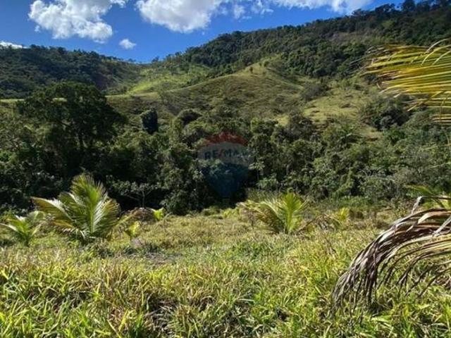Paraiso Natural: Terreno Fazenda em Tribuna, Ipatinga MG