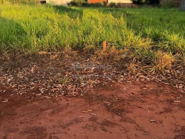Paranapuã lote a venda