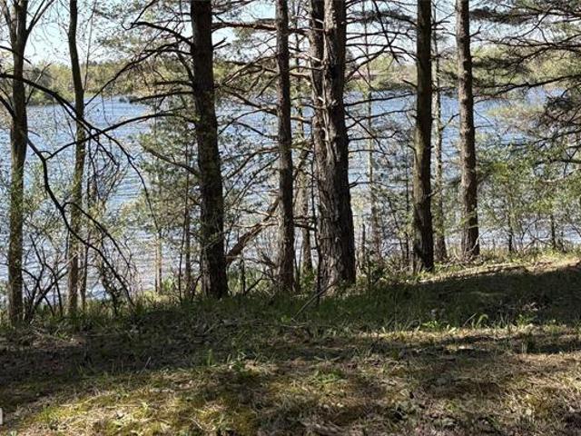 Parcel 3 Pineway Trail