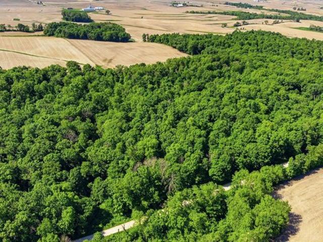 Parcel 020140002,, Parcels 020140002,, Parcel 20140002, Colesburg, IA 52035