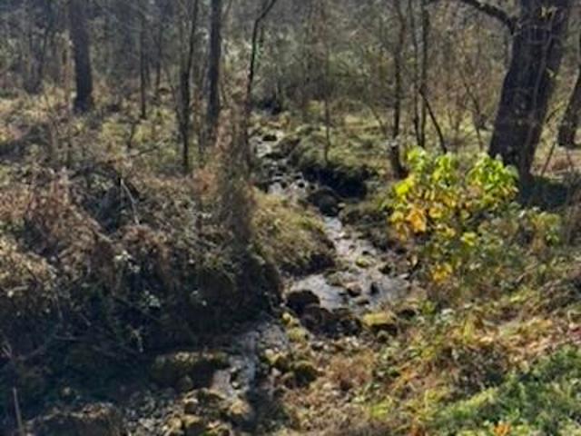 Parcel 053 050.00 Obes Branch Rd, Sevierville, TN 37876