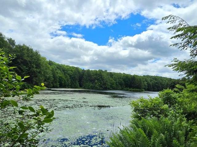 Parcel 080 Deep Hollow Run Lot 9, Muncy Valley, PA 17758
