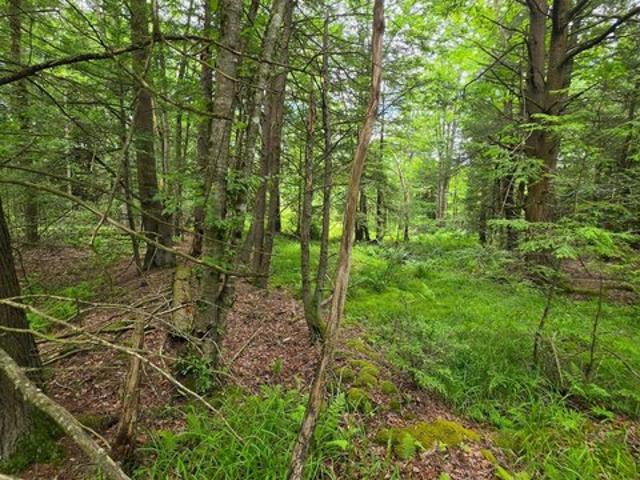 Parcel 095 Payne Run Ln Lot 5, Dushore, PA 18614