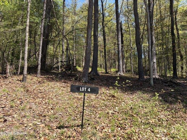 Parcel 112 Tallman Hollow Rd Lot 4, Montoursville, PA 17754