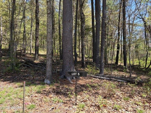 Parcel 112 Tallman Hollow Rd Lot 5, Montoursville, PA 17754