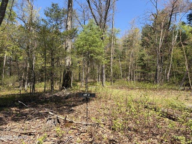 Parcel 112 Tallman Hollow Rd Lot 3, Montoursville, PA 17754