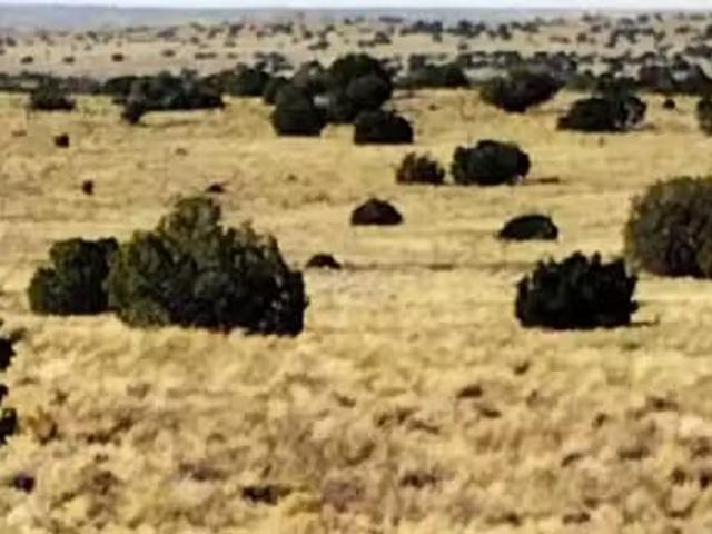 Parcel 19 Sec 18 T20N R28E #, Sanders, AZ 86512 MLS 6781.