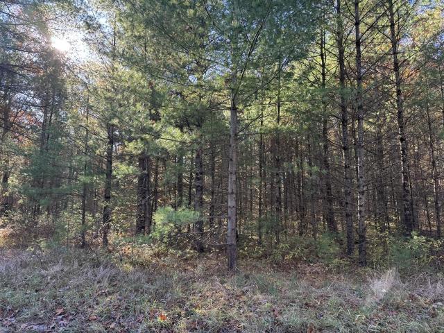 Parcel 1 County Line Road