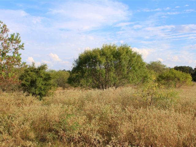 Parcel 1 Lobo Lane