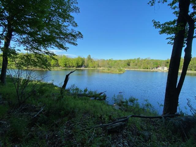 Parcel 216 King Richard Dr