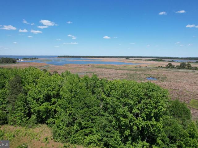 Parcel 228 Fishhook Lane