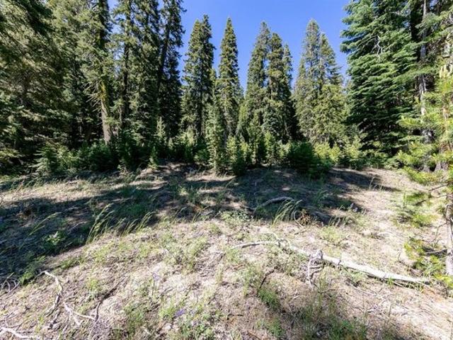 Parcel 2, Little Norway, CA 95735