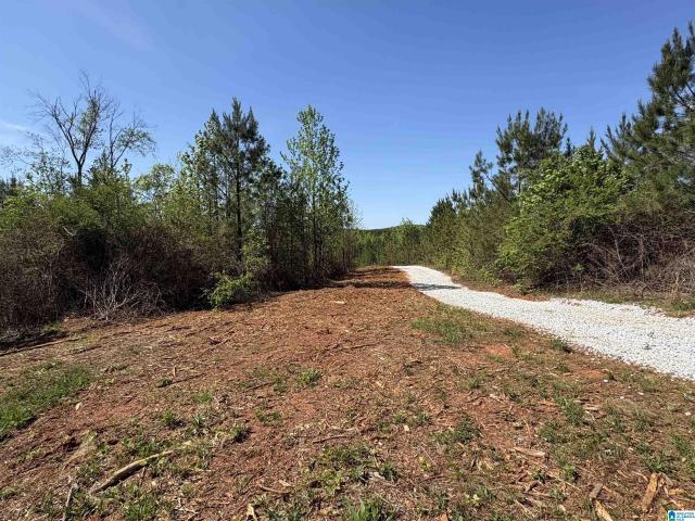 Parcel #2 OLD HIGHWAY 431 # Parcel 2 56 Acres