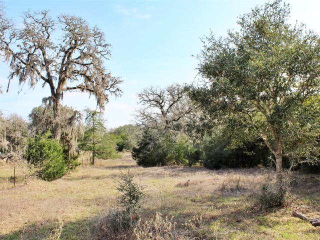 Parcel 4 Lobo Lane