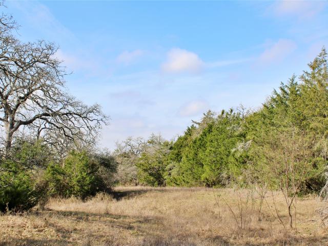 Parcel 5 Lobo Lane
