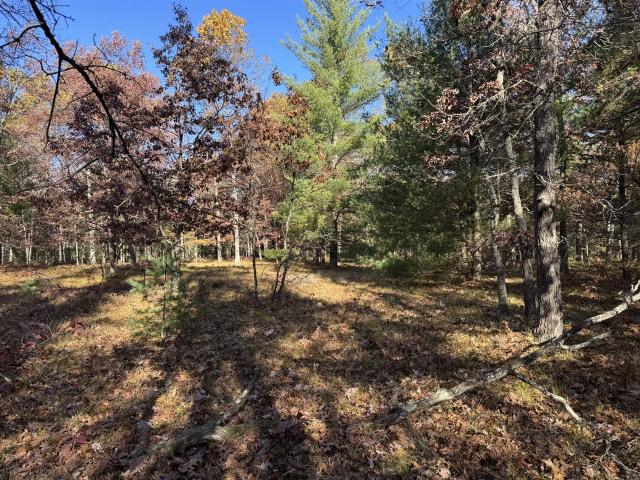 Parcel 6 County Line Road