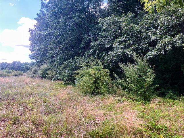 Parcel 9 Leaf Lane