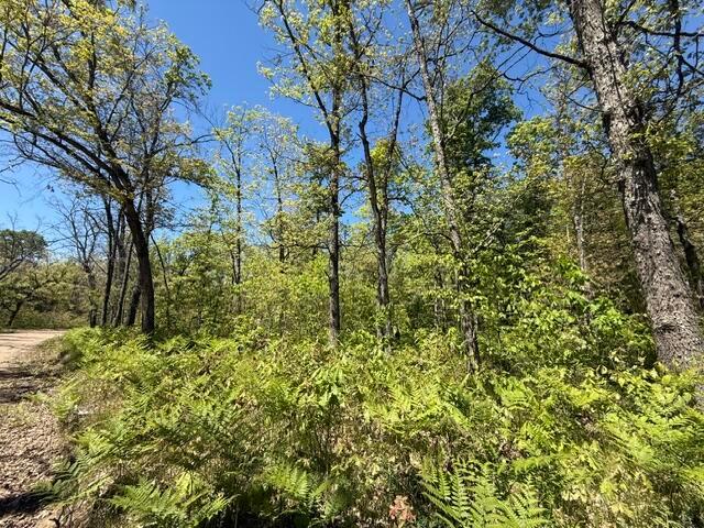Parcel C USFS 5196