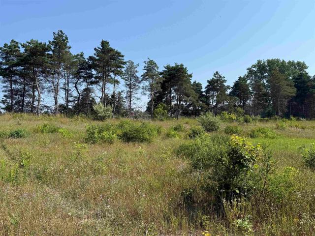 Parcel A1 E Kasson Road