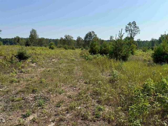 Parcel A 7 S Bright Road # Lot: A7