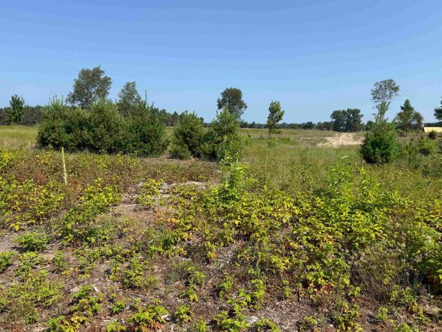 Parcel A 8 S Bright Road # Lot: A8