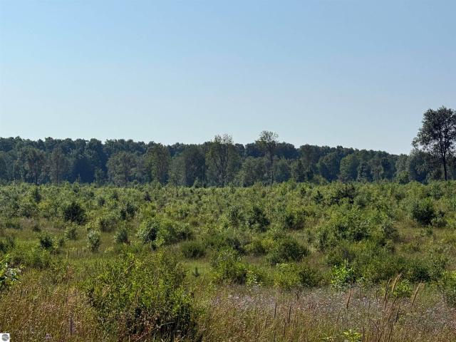 Parcel A 1 E Kasson Road