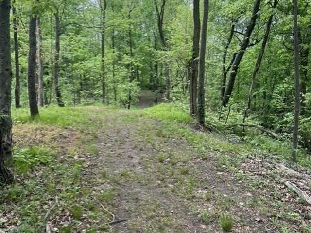 Parcel A W County Line Road