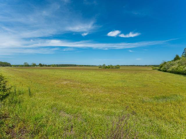 Parcel a Adams Dr, DeFuniak Springs, FL 32433 | MLS #1001 | Compass
