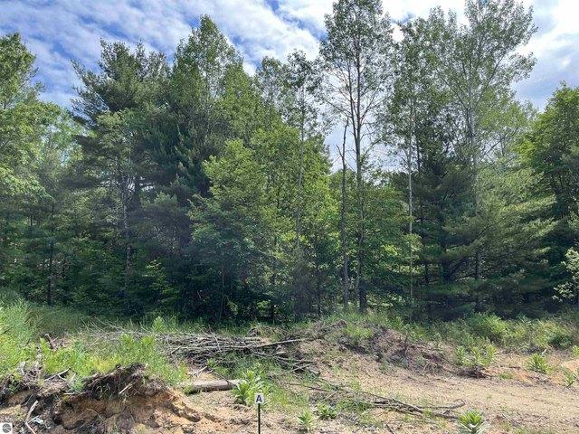 Parcel A Hoosier Flats Rd Lot A, Traverse City, MI 49685