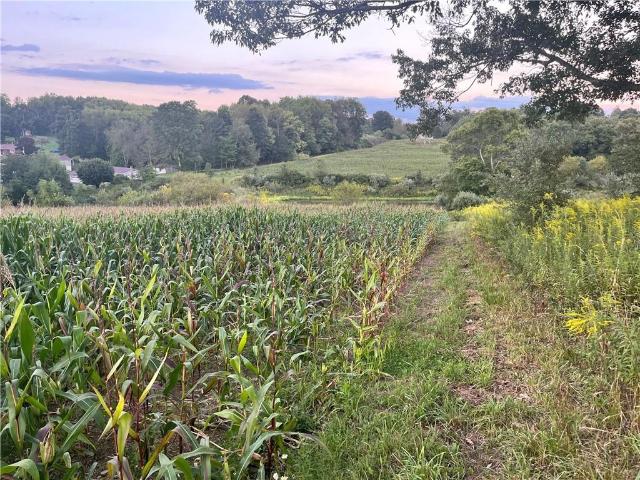 Parcel a Saxonburg Rd, Butler, PA 16002 | MLS #1733 | Compass
