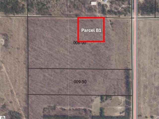Parcel B1 Peterson Rd Lot B1, Mancelona, MI 49659