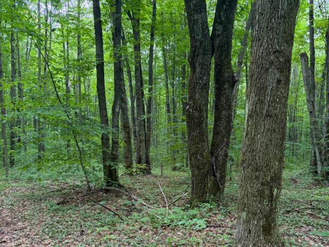 Parcel B2 Johnson Road # Lot: B2