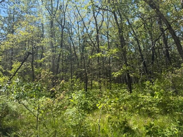 Parcel B W USFS 5196