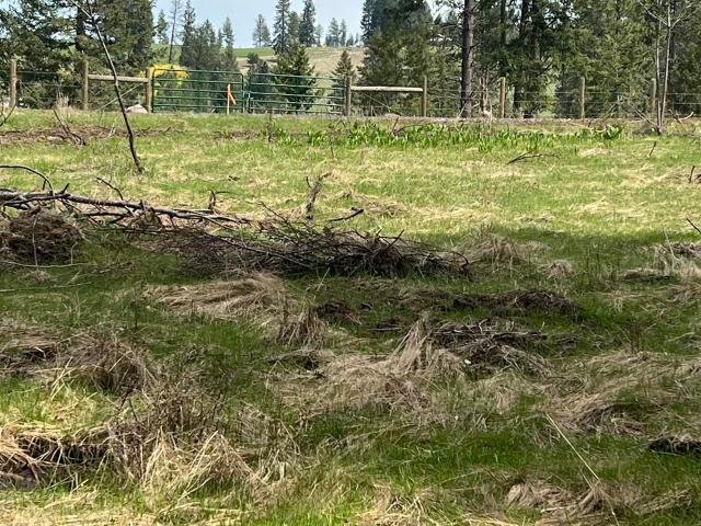 Parcel B Elk City Wagon Road