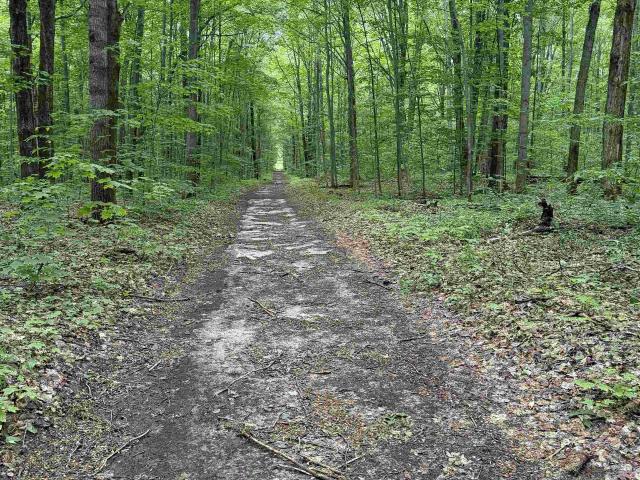 Parcel B Mancelona Road # Lot: B