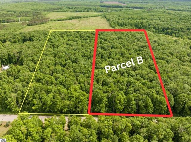Parcel B Mancelona Rd Lot B, Mancelona, MI 49659