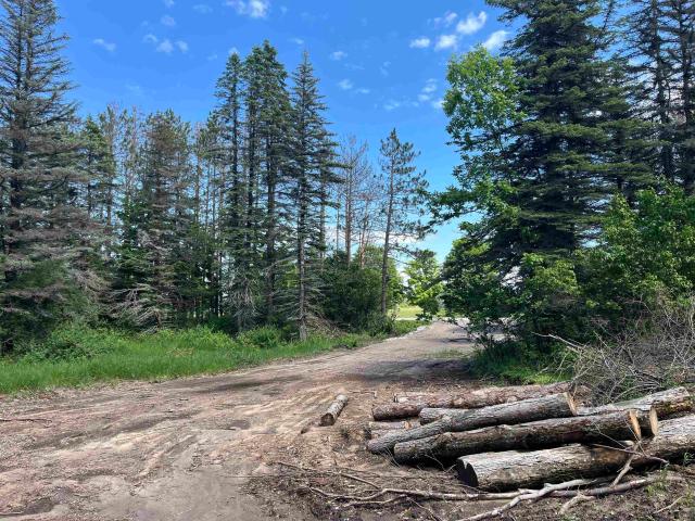 Parcel E Maple City Highway # Lot: E