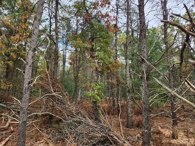 Parcel L Tatanka Trail