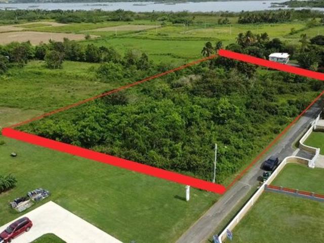 Parcela Camino Los Nieves Unit,arecibo, Plot For Sale